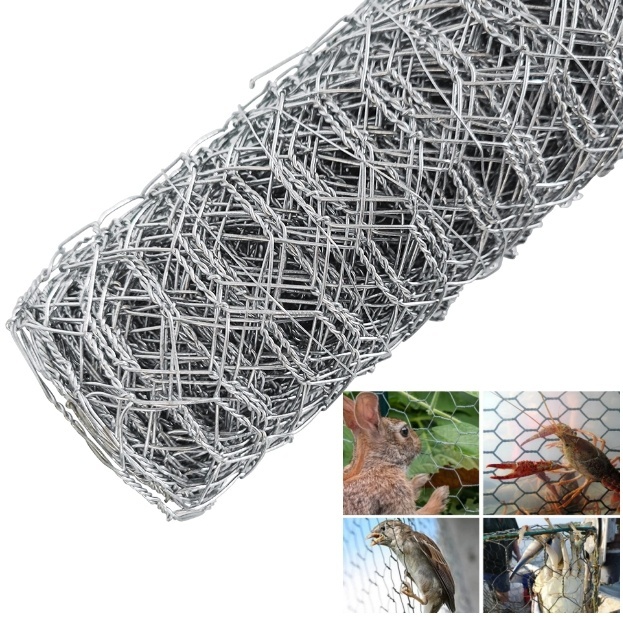 Hexagonal Wire Mesh
